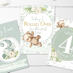 Teddy Bear First Year Baby Milestone Memory Cards - 24 Cards - Etsy UK