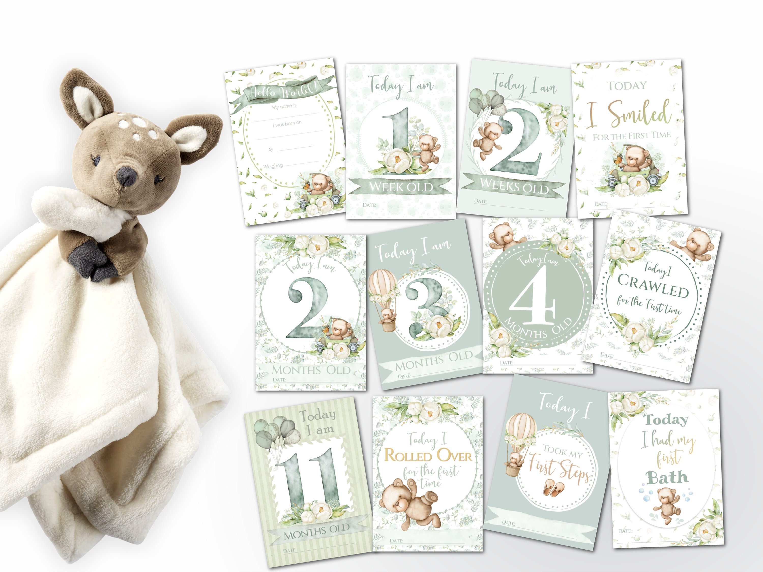 Teddy Bear First Year Baby Milestone Memory Cards 24 Cards - Etsy UK