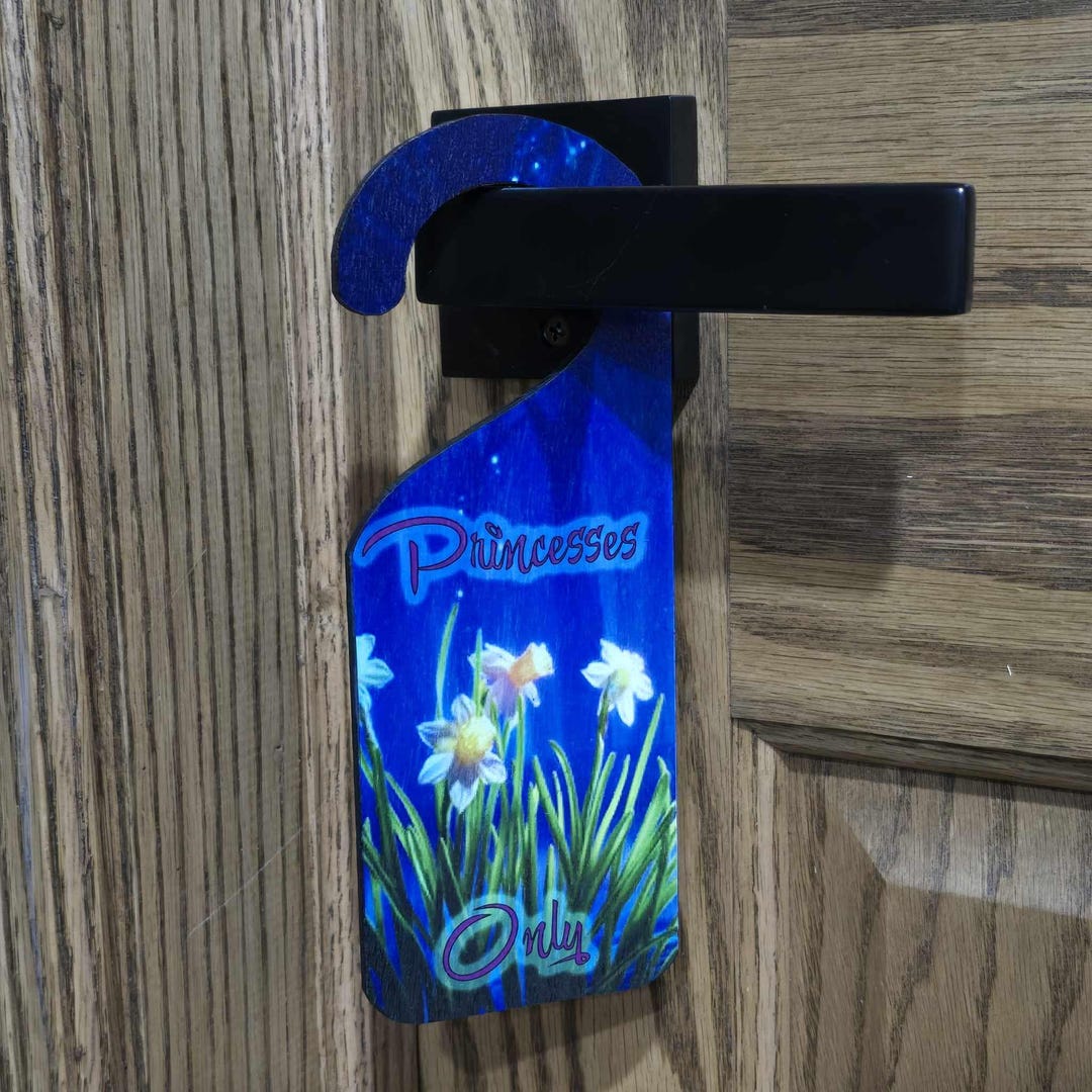 Princesses Only Door Hanger Girls Room Kids Flowers Children Queen Sign ...