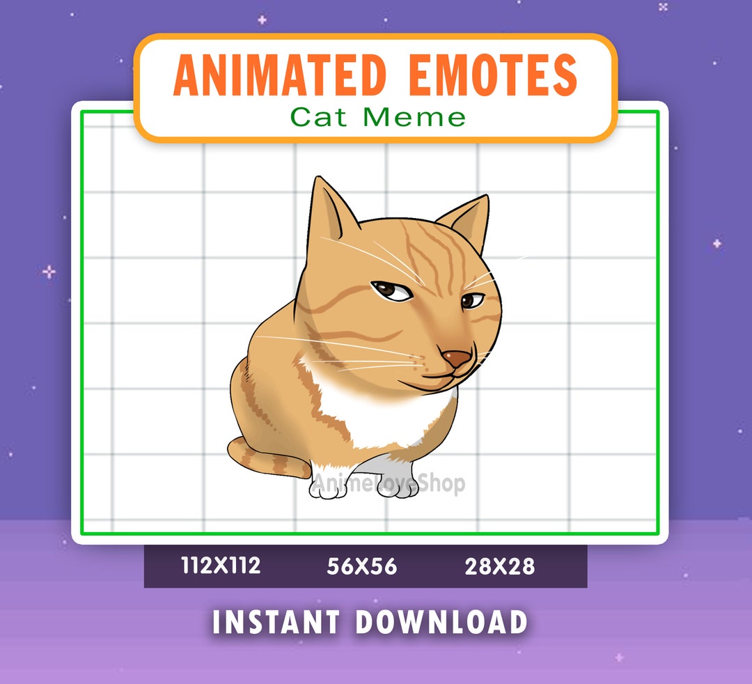 ANIMATED Cat Stare Meme Emote for Twitch, Discord, Youtube, Animated ...