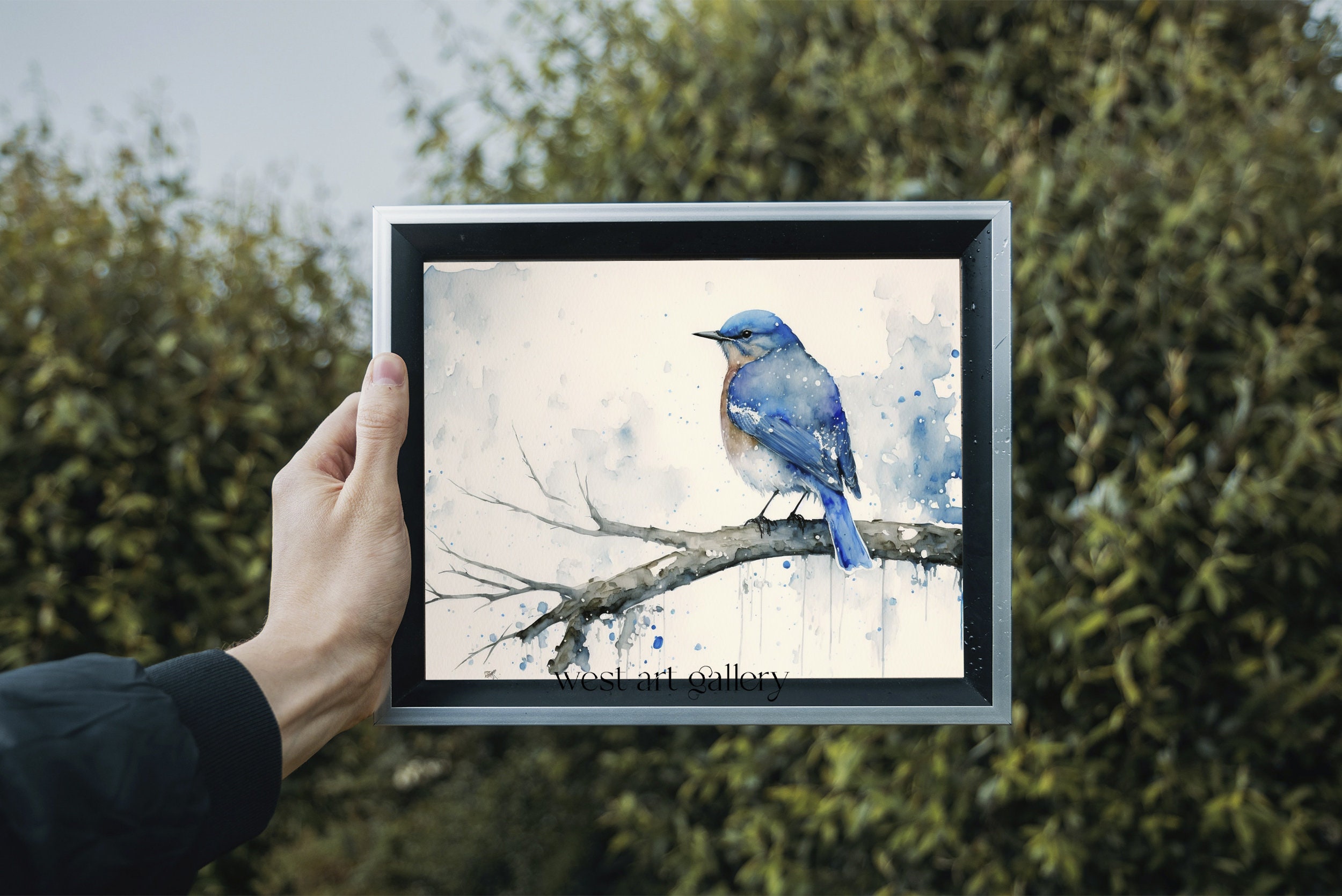 Bluebird Watercolor Painting, Bluebird Print, Digital Download, Blue ...