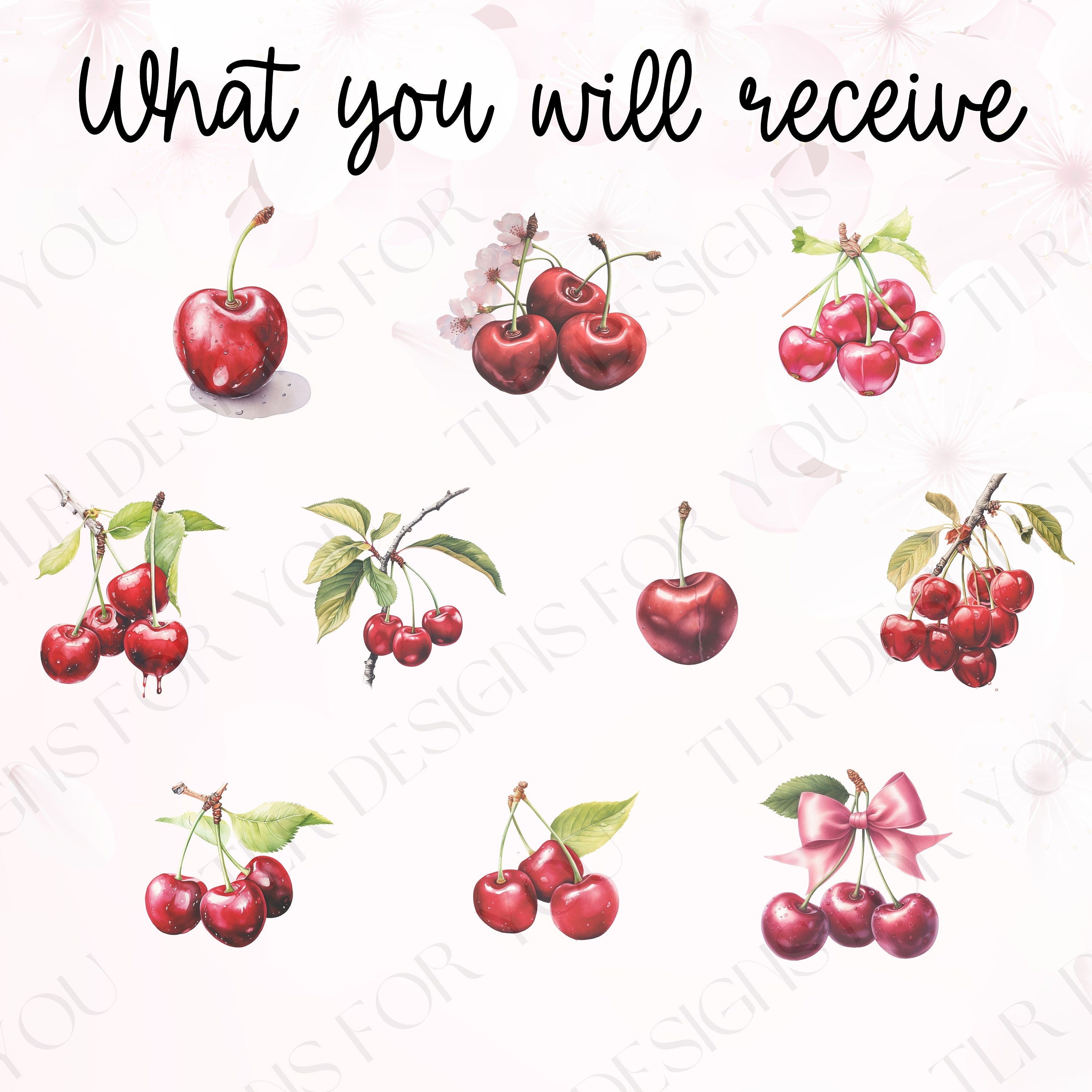 Cherry PNG Bundle Cherry Blossoms White Background Cherry Fruit ...