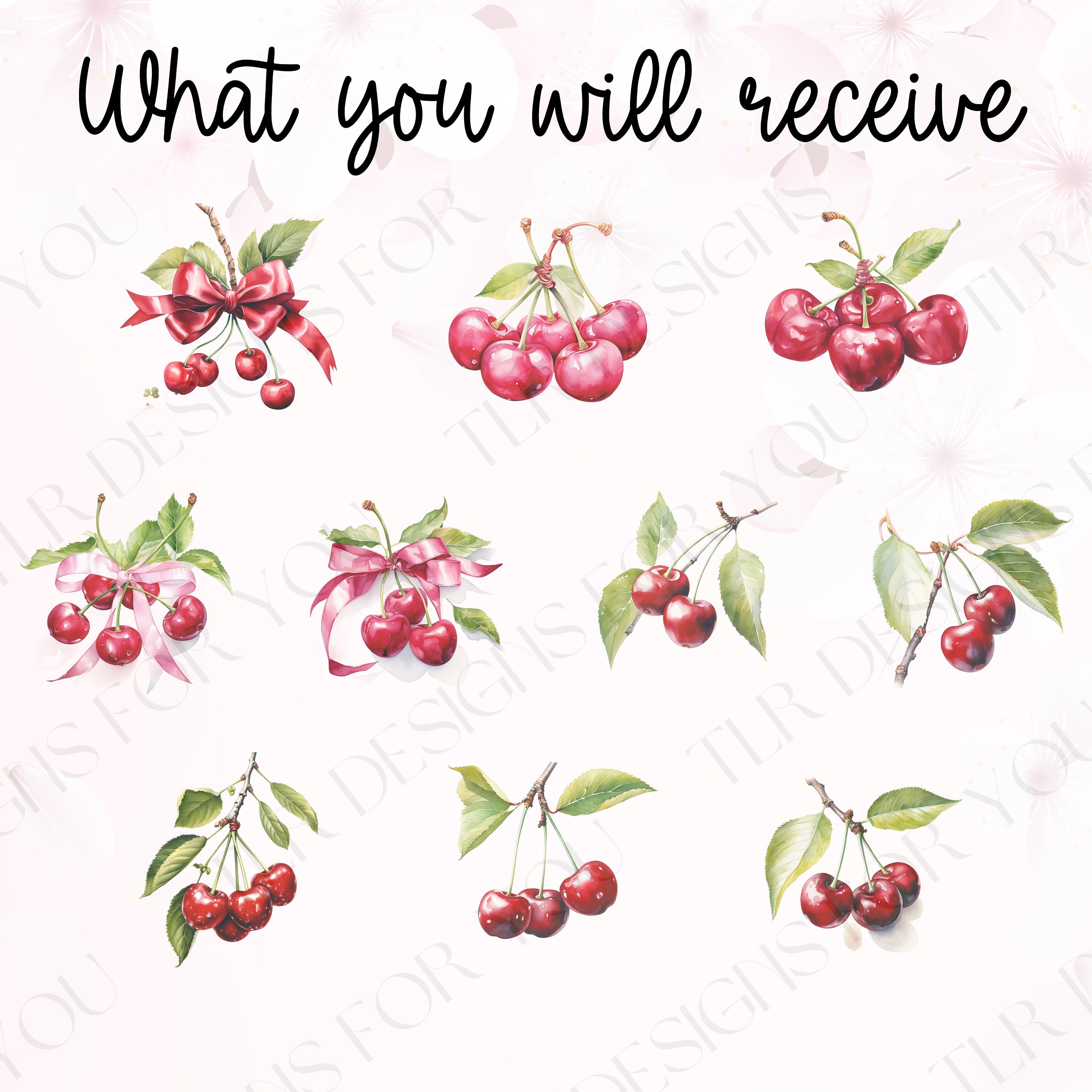 Cherry PNG Bundle Cherry Blossoms White Background Cherry Fruit ...