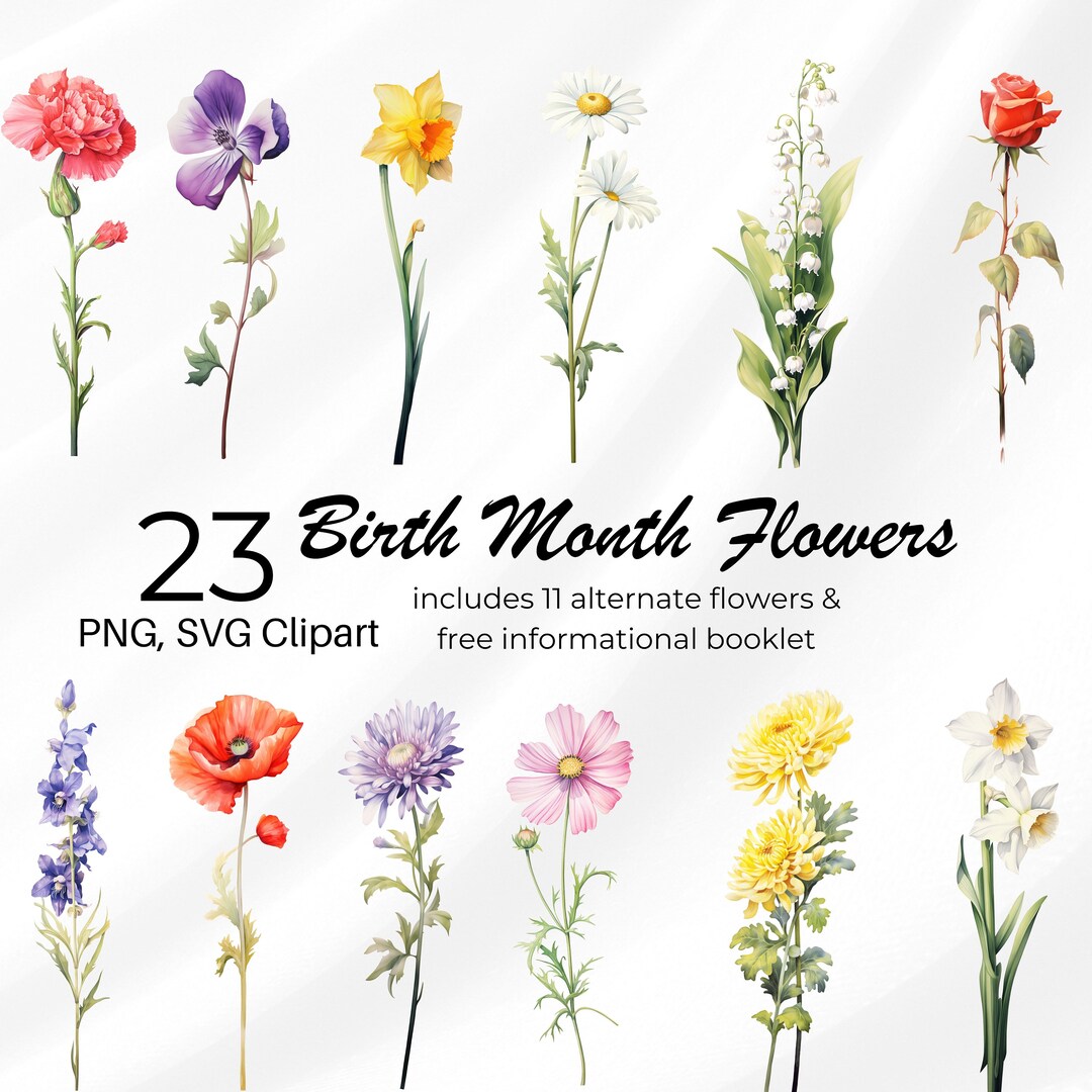 Floral Clipart Wildflower SVG Transparent PNG Rose Birth Month Flowers ...