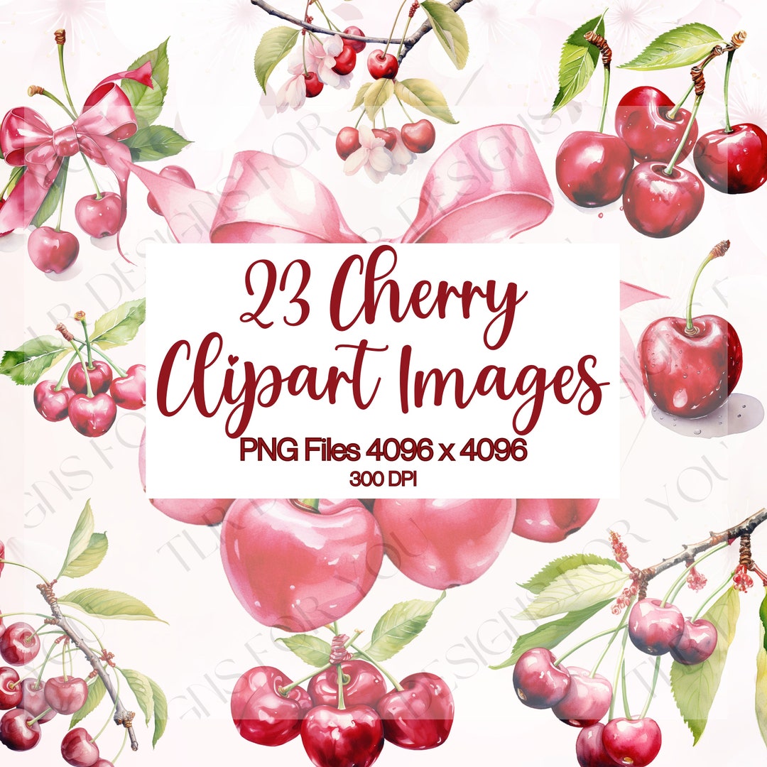 Cherry PNG Bundle Cherry Blossoms White Background Cherry Fruit ...