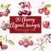 Cherry PNG Bundle Cherry Blossoms White Background Cherry Fruit ...