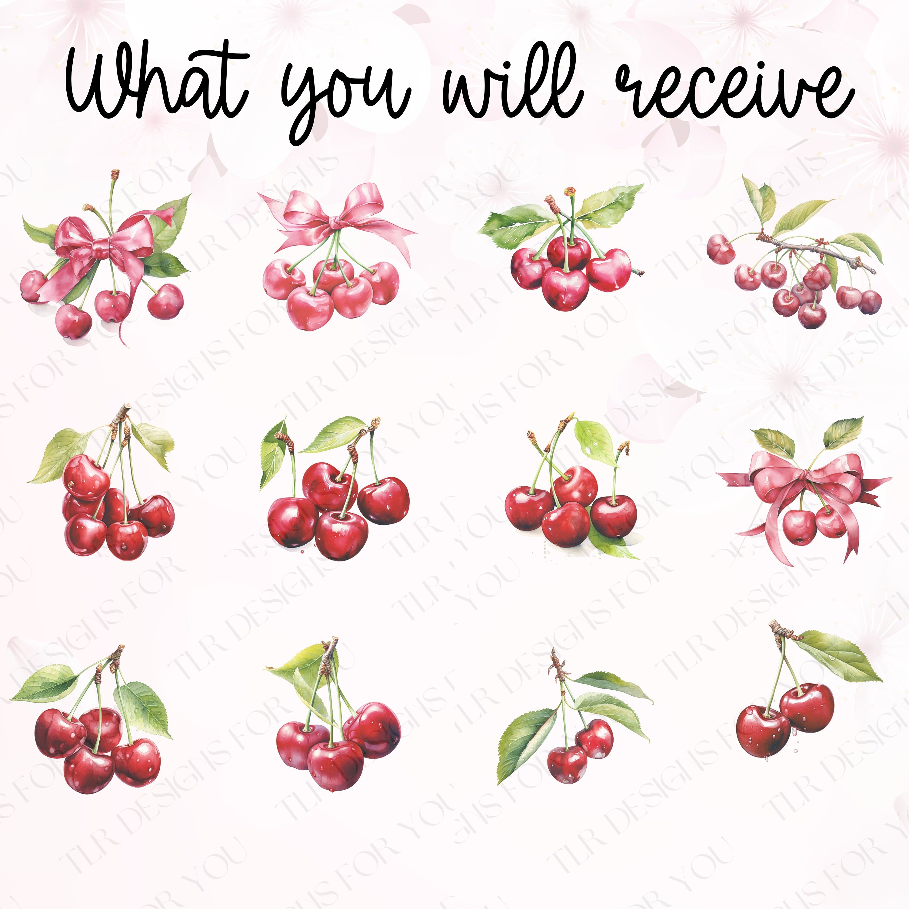 Cherry PNG Bundle Cherry Blossoms White Background Cherry Fruit ...