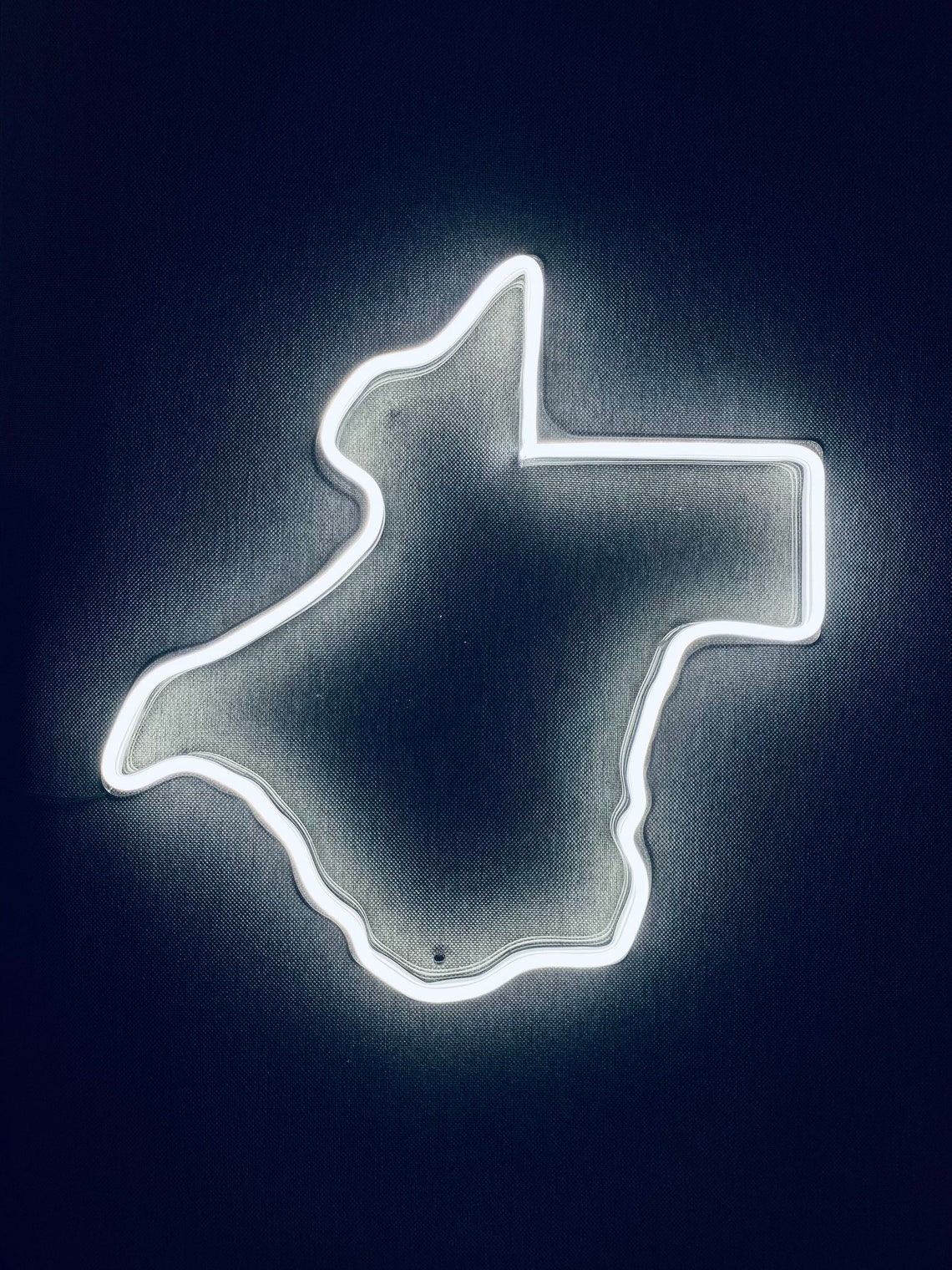 Texas Neon Sign Texas Sign Texas Led Sign Texas Neon Light - Etsy