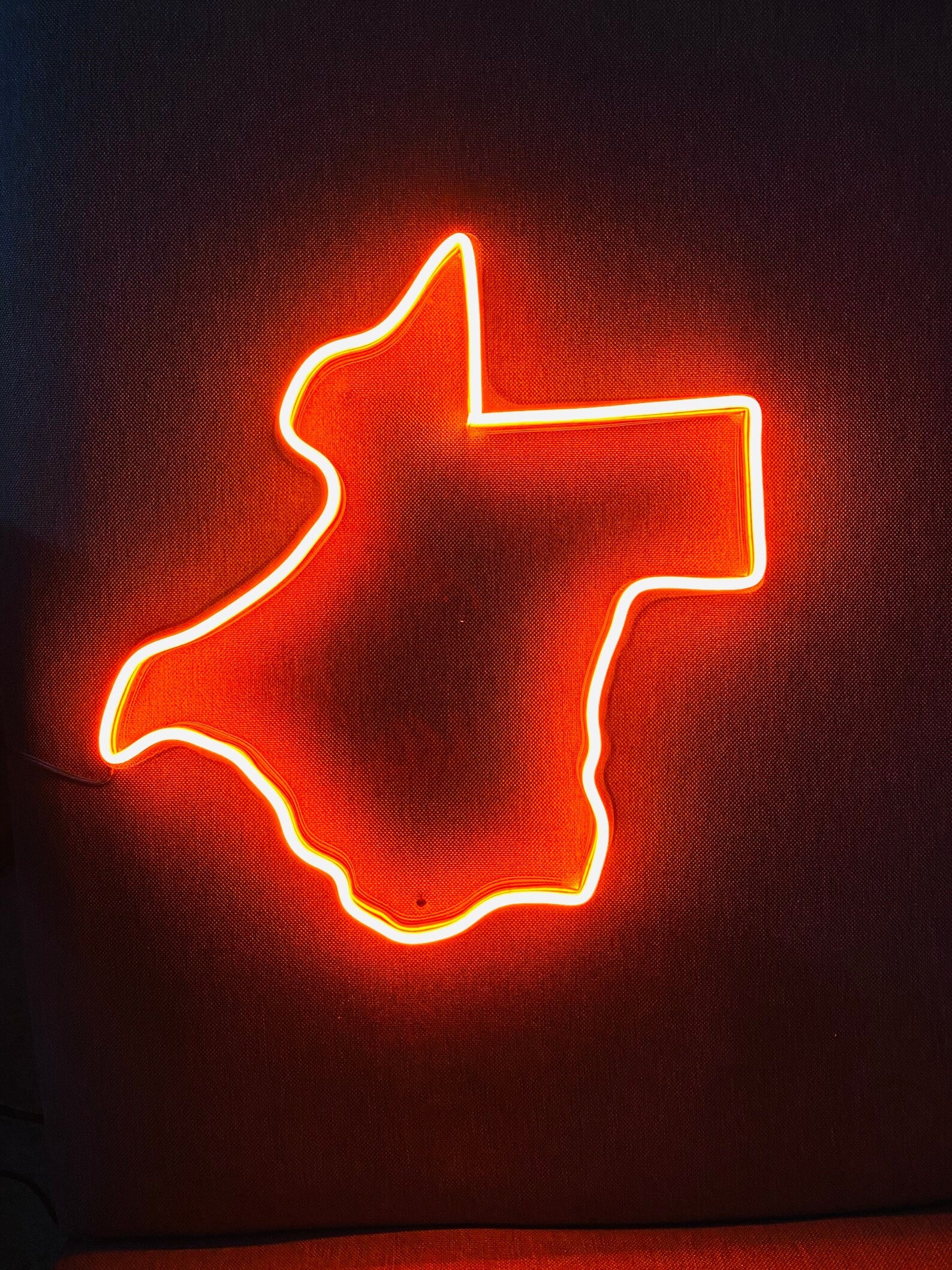 Texas Neon Sign Texas Sign Texas Led Sign Texas Neon Light - Etsy