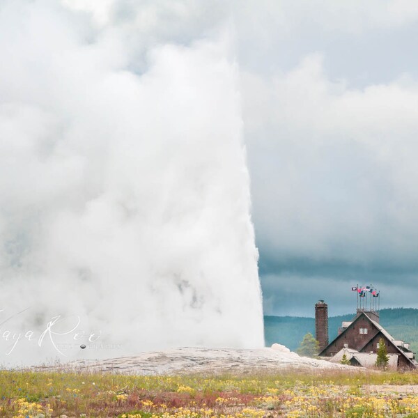 Geyser Wall Art - Etsy