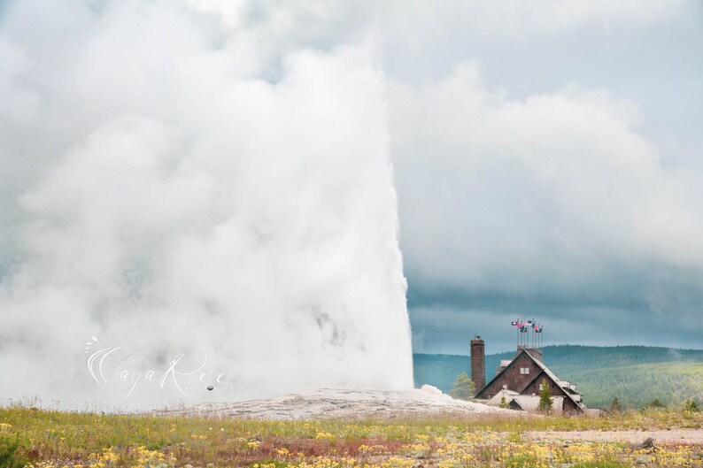 Old Faithful Geyser Erupting, INSTANT PHOTO DOWNLOAD, Yellowstone ...