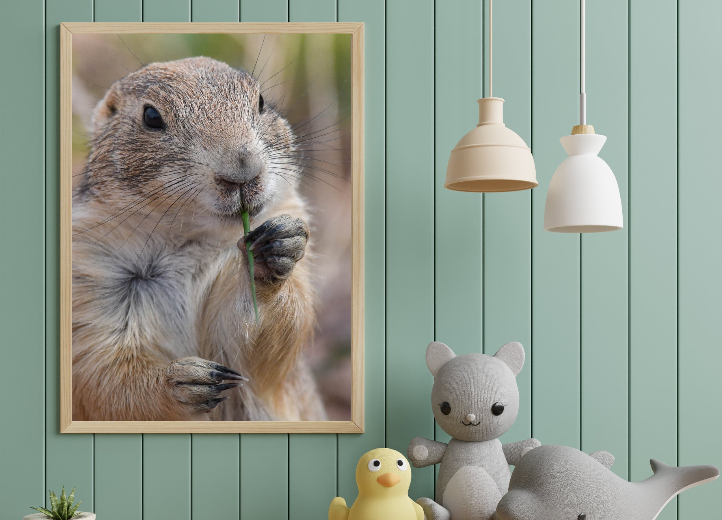Prairie Dog Close up THREE INSTANT DOWNLOADS of Different Poses. Cute ...
