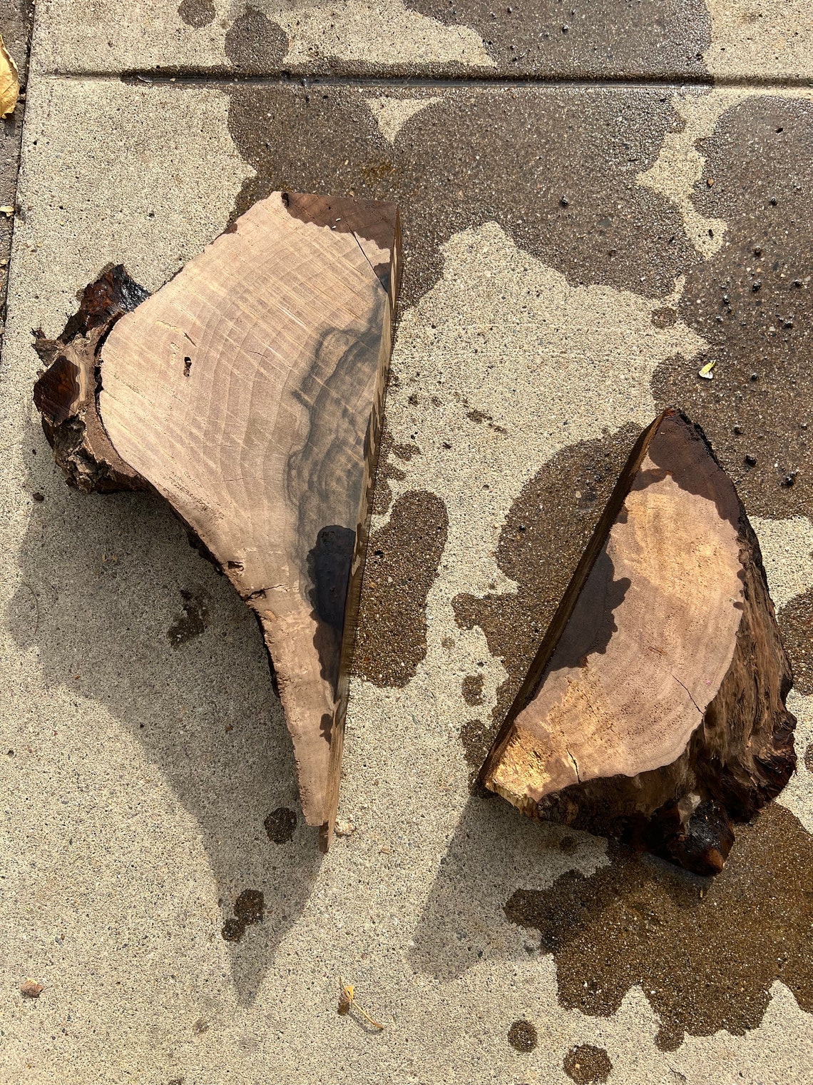 Claro Walnut DIY End Grain Cut Offs - Etsy