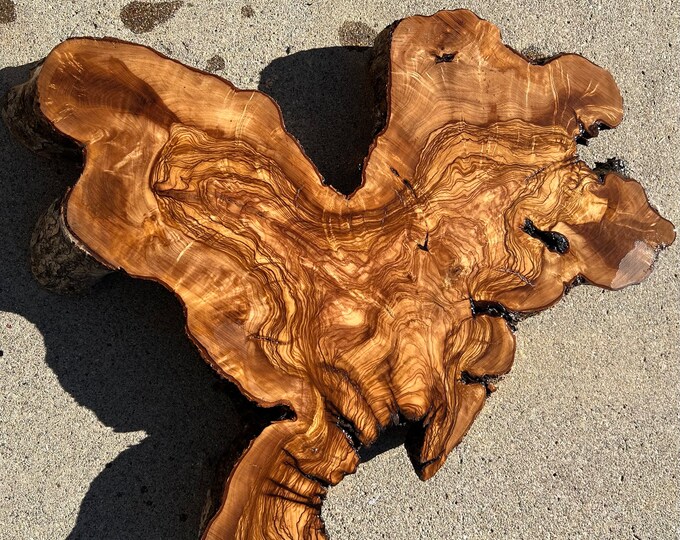 Olive Burl Slab - Etsy