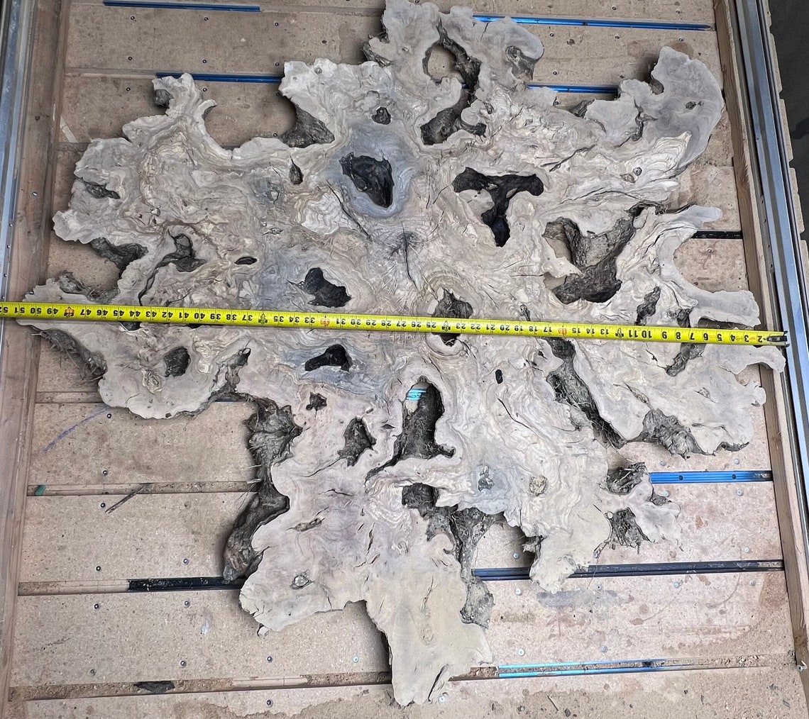 Olive Burl Slab - Etsy