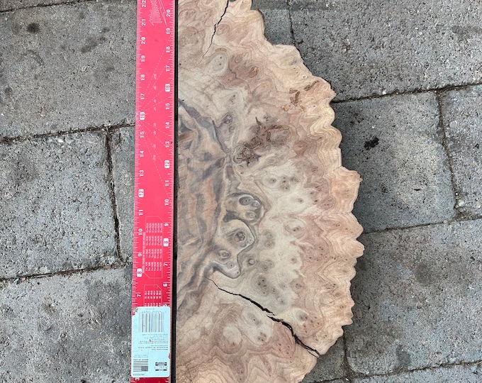 Olive Burl Slab - Etsy