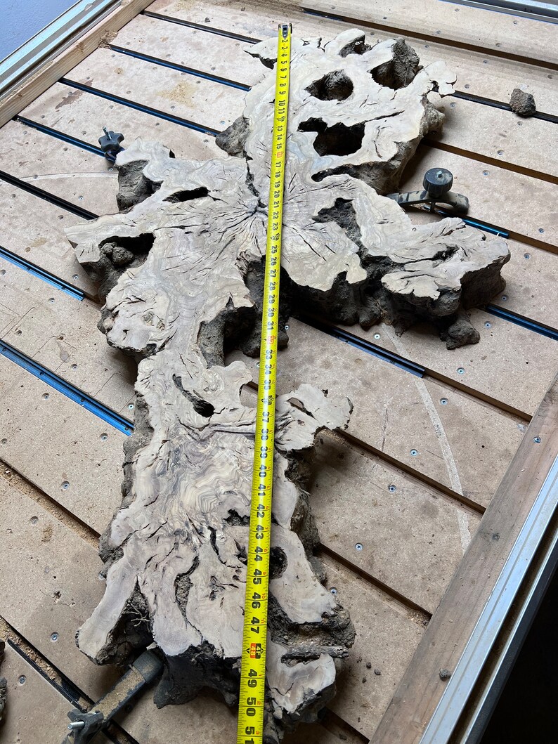 Olive Burl Slab - Etsy