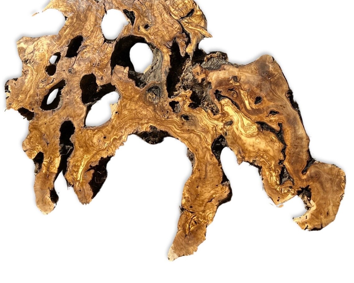 Olive Burl Wall Art - Etsy