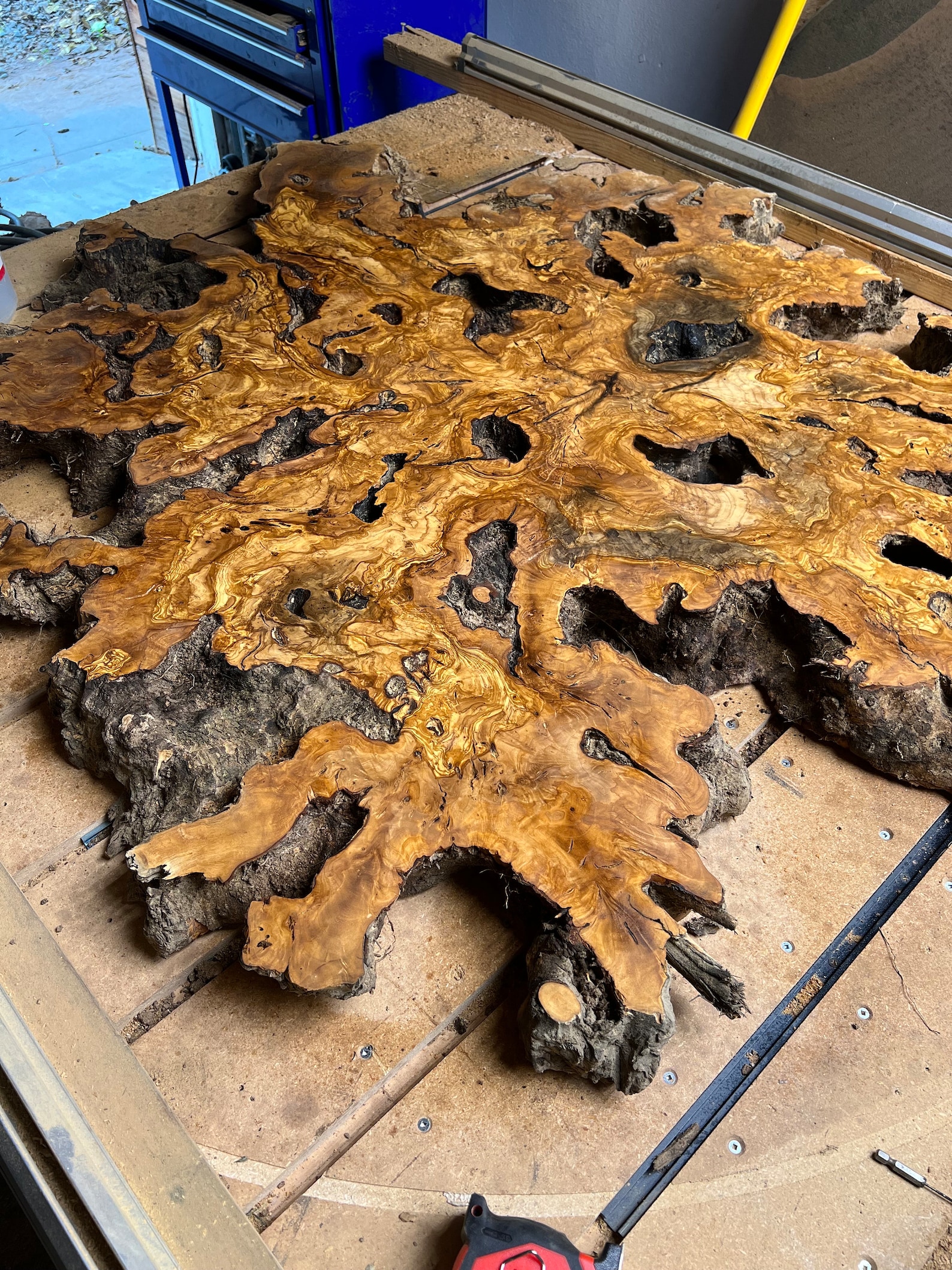 Olive Burl Slab - Etsy