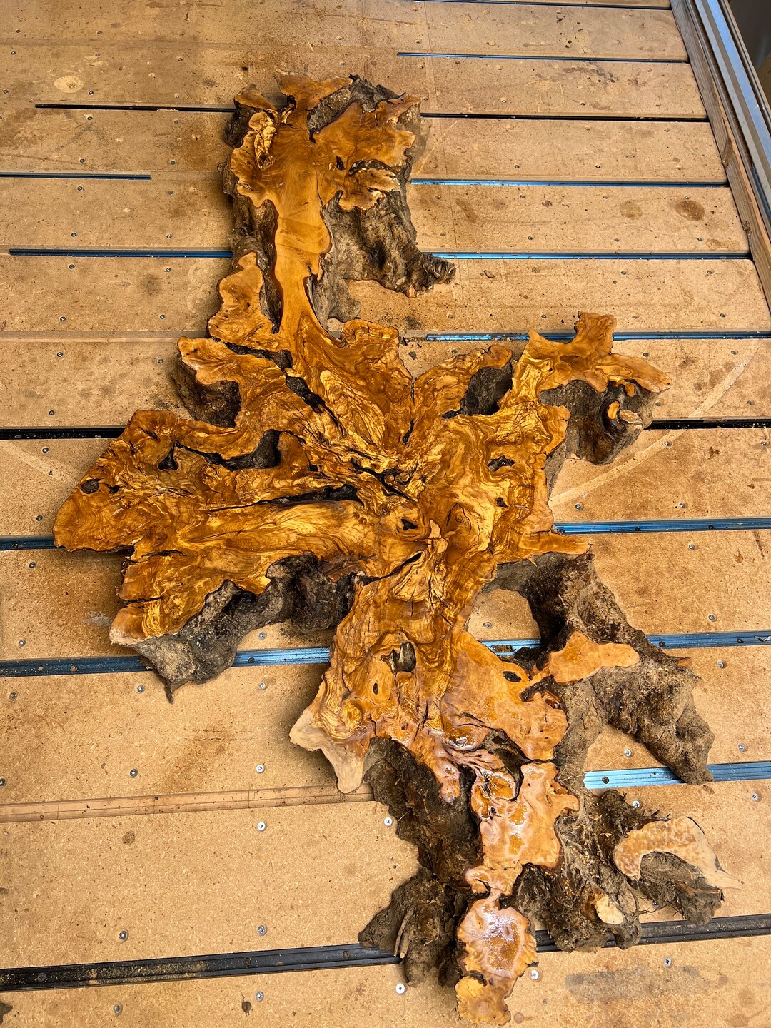 Olive Burl Slab - Etsy