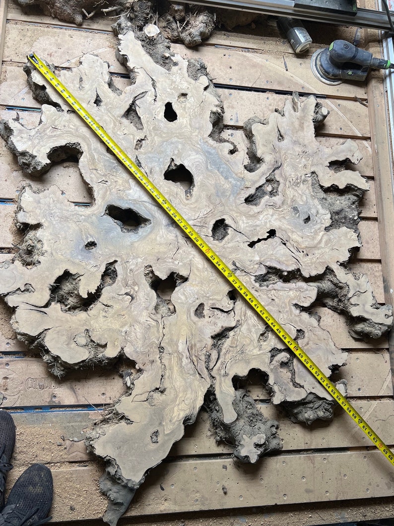 Olive Burl Slab - Etsy