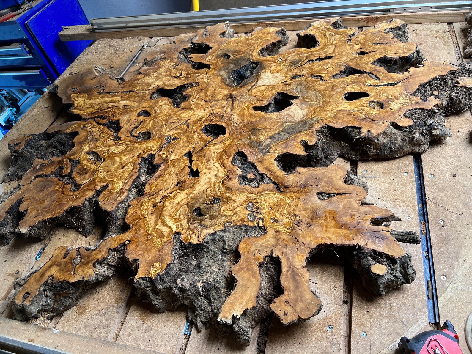 Olive Burl Slab - Etsy
