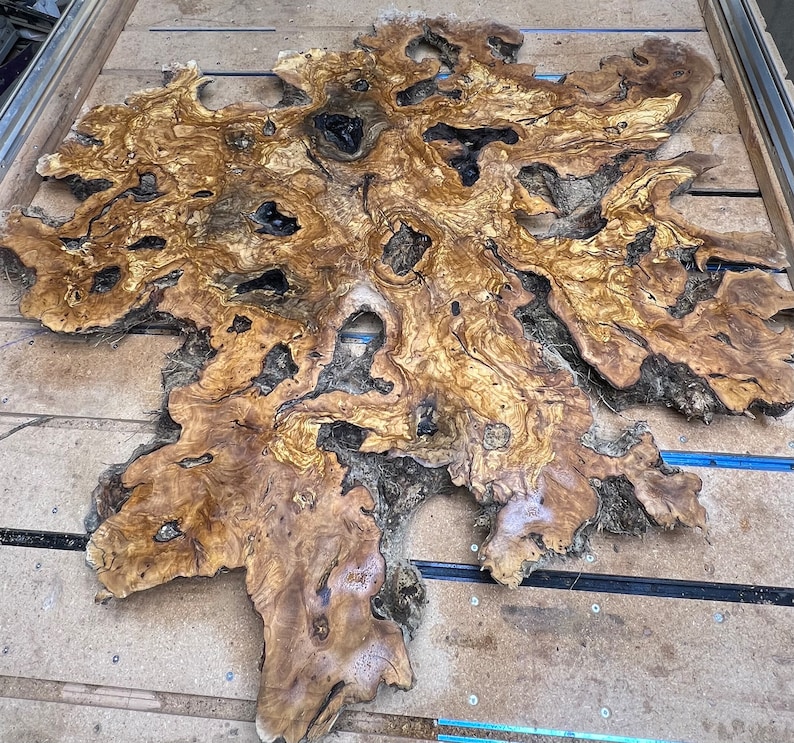Olive Burl Slab - Etsy