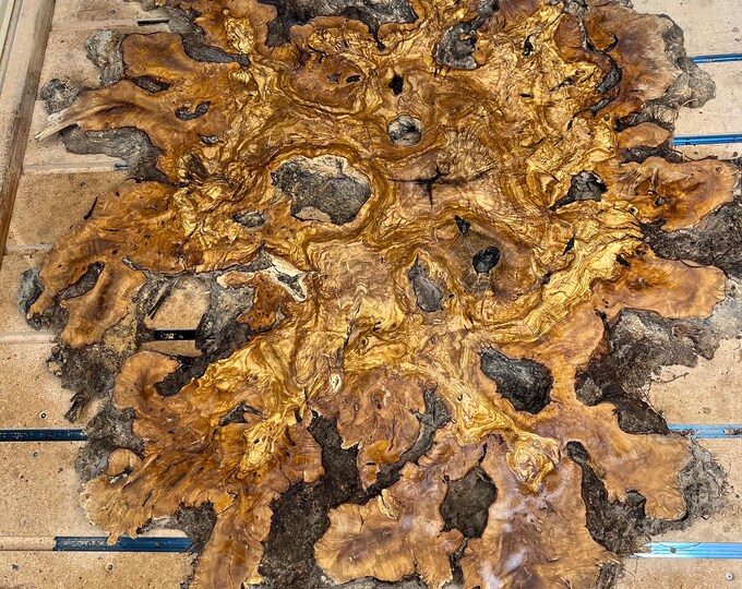 Olive Burl Slab - Etsy
