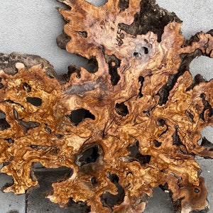 Olive Burl Slab - Etsy