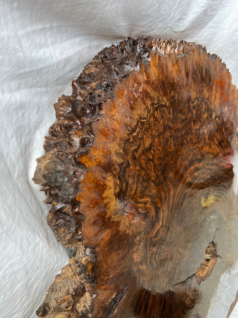 Claro Walnut Burl Cookie Slab 52 Inches - Etsy