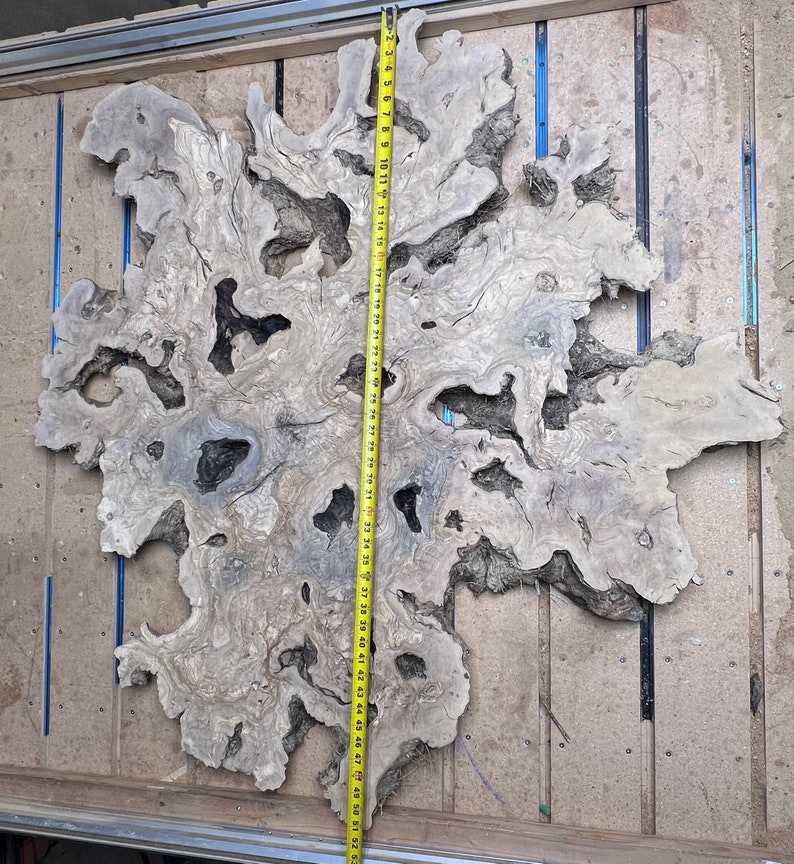 Olive Burl Slab - Etsy