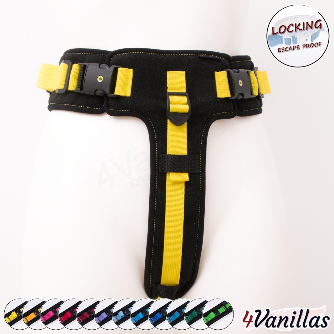 Chastity Belt Midnight Rainbow Voucher 20% - Etsy UK