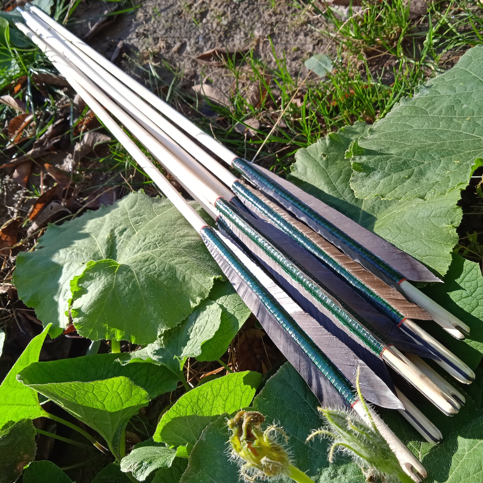 Traditional Medieval English Arrows. Custom Wooden Arrows. 6 Arrows - Etsy
