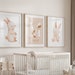 Set of 3 Peter Rabbit Inspired Prints for Baby Boy Nursery, Bunny ...