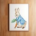 Set of 3 Peter Rabbit Inspired Prints for Baby Boy Nursery, Bunny ...