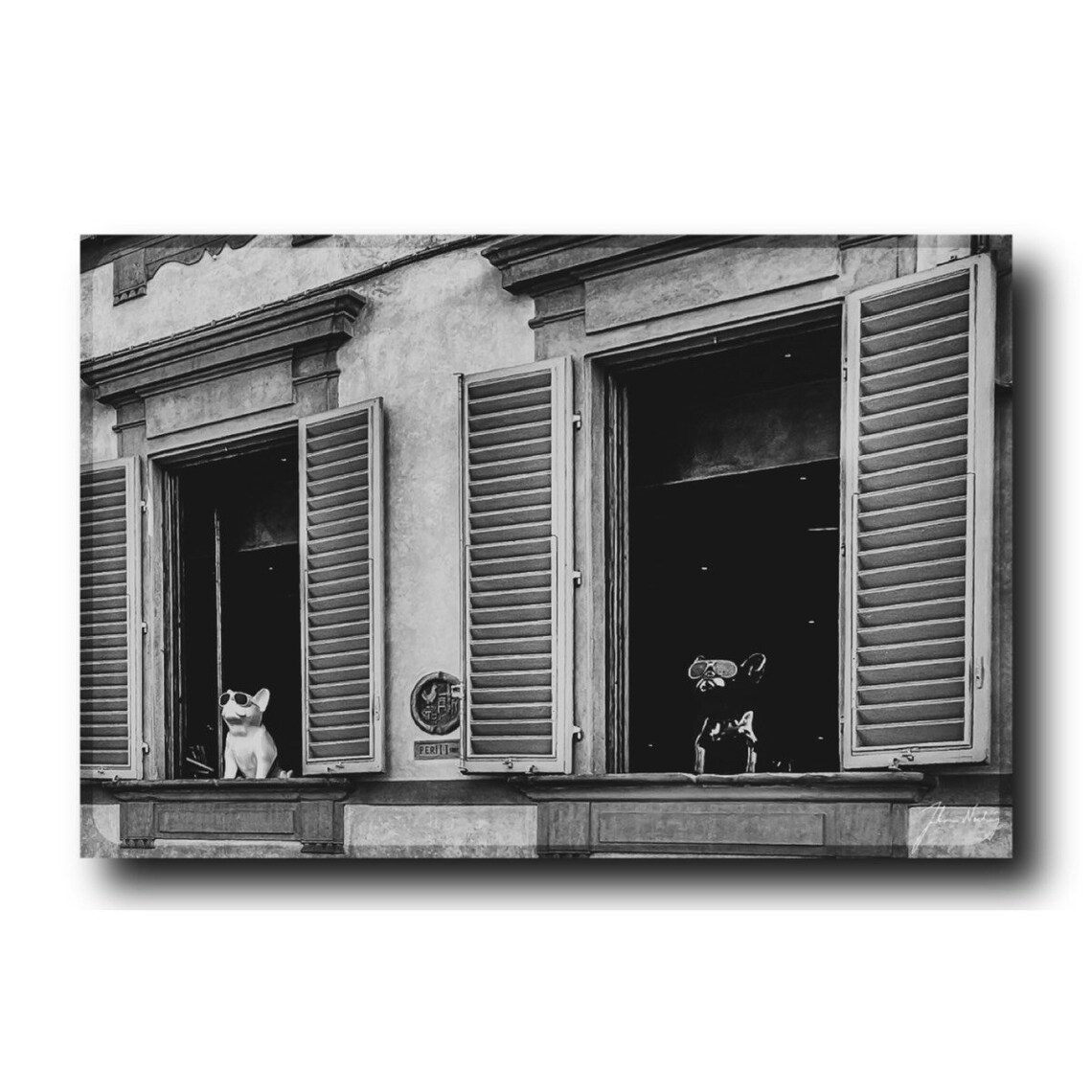 Watchdogs Black and White Photo of Cool Fake Dogs in a Window Wall Art ...