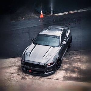 Ford Performance Sunstrip Universal Car Sunstrip Cars & Vans all ...