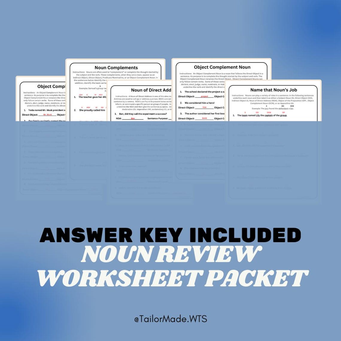 Comprehensive Noun Worksheet & Review Packet | Grammar Curriculum ...