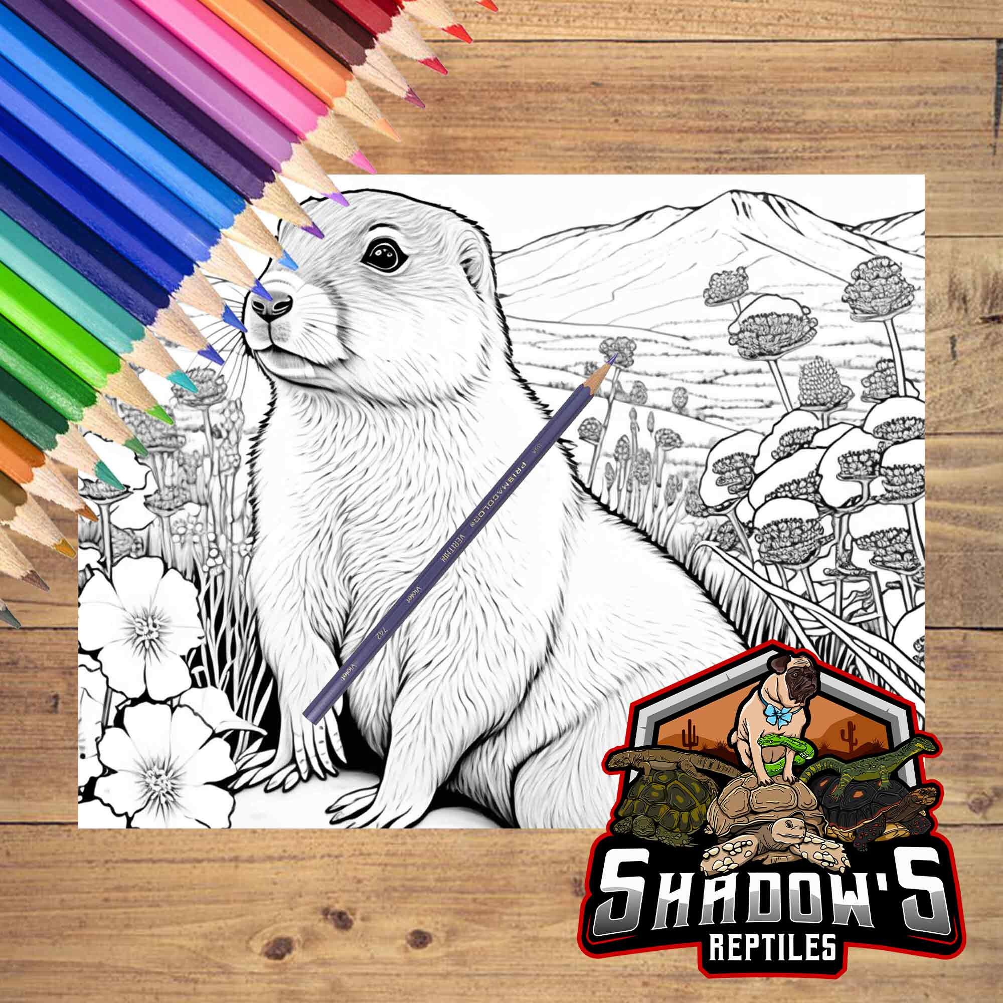 5 Beautiful Animal Coloring Pages - Etsy