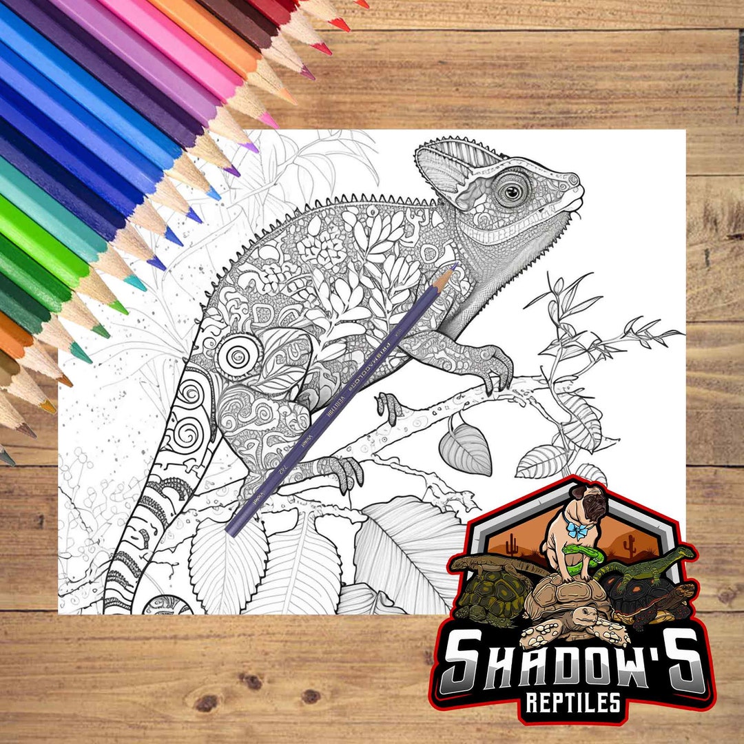 5 Beautiful Animal Coloring Pages - Etsy