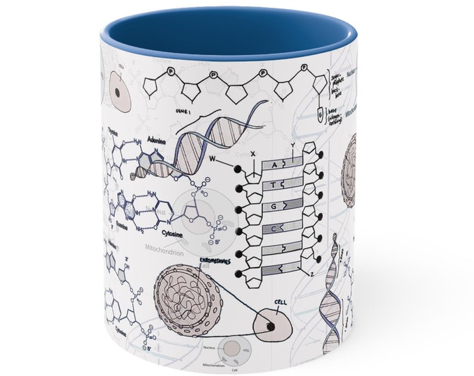 Entomology Mug, Insect Gift, Bug Mug, Naturalist, Beetles, Butterflies ...