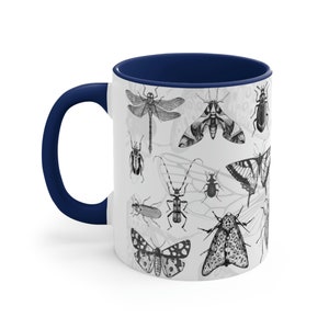 Entomology Mug, Insect Gift, Bug Mug, Naturalist, Beetles, Butterflies ...