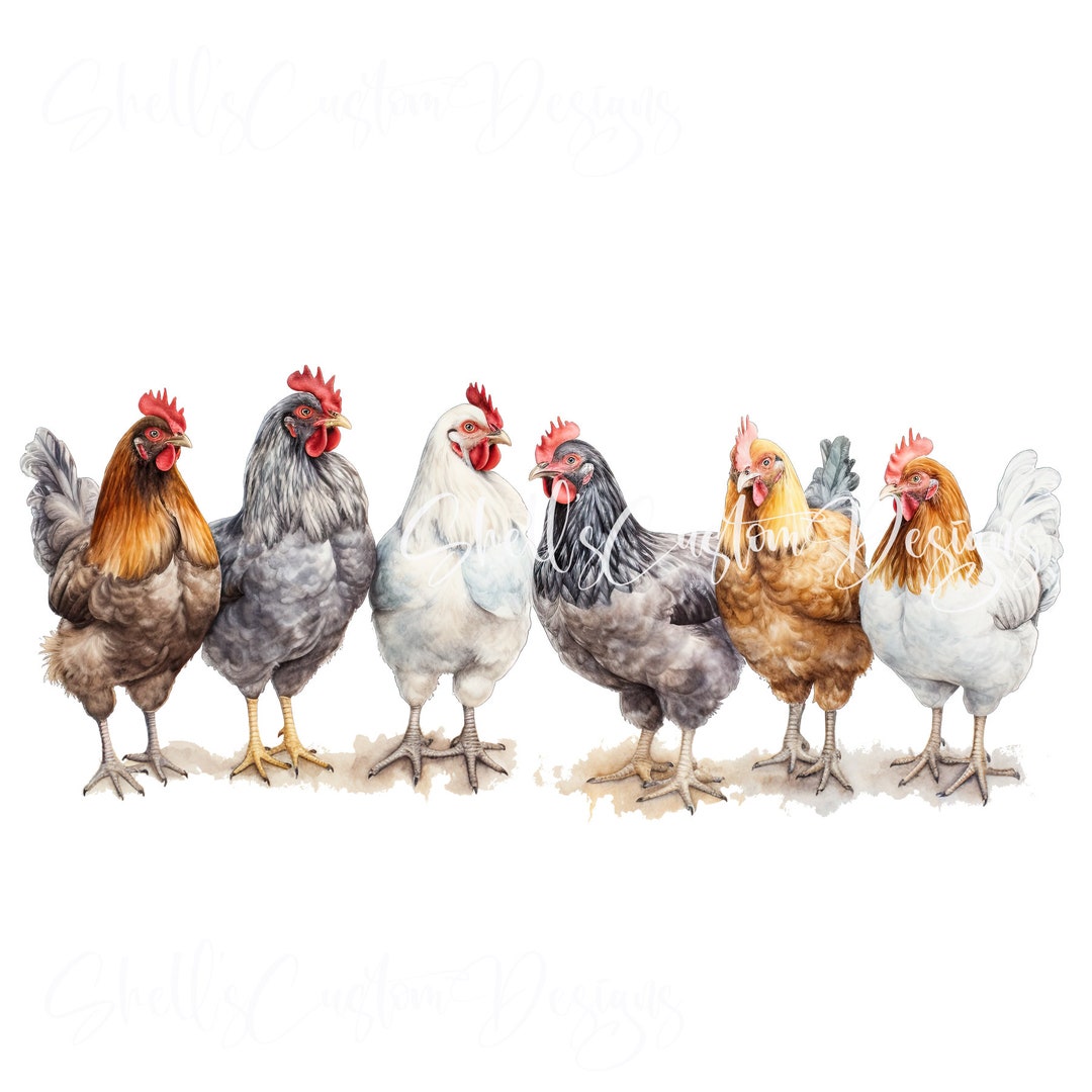 Printed Decal Vinyl Sticker Chickens Hens Rooster Farm Country - Etsy