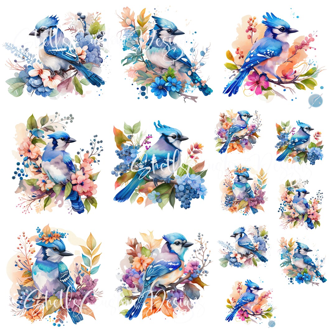 12 X 12 Printed Vinyl Bluejays Blue Jay Floral Birds Decals - Etsy