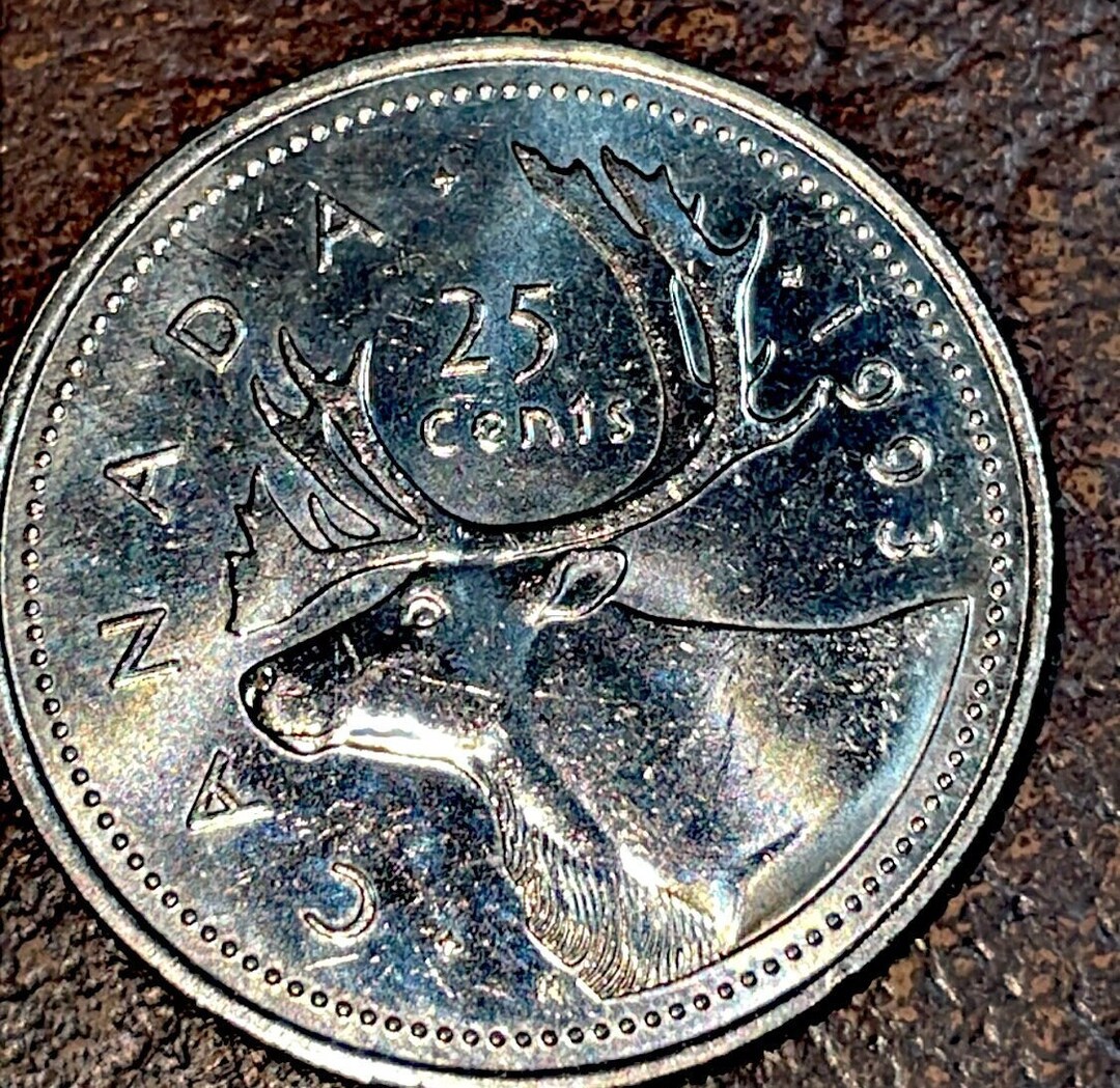 1993 Canada 25 Cent quarter Caribou Coin. - Etsy