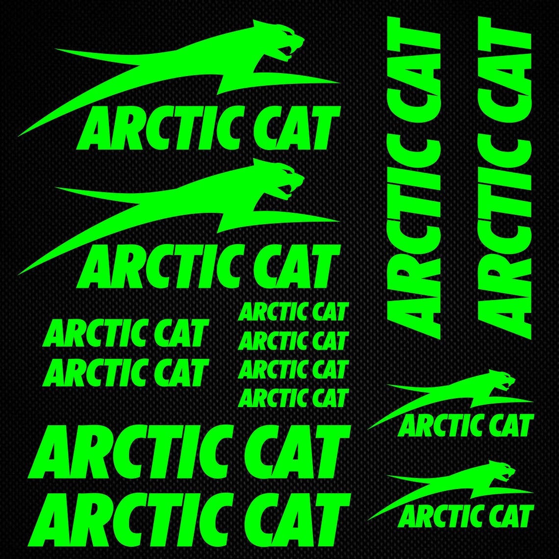 Team Arctic Cat Logo