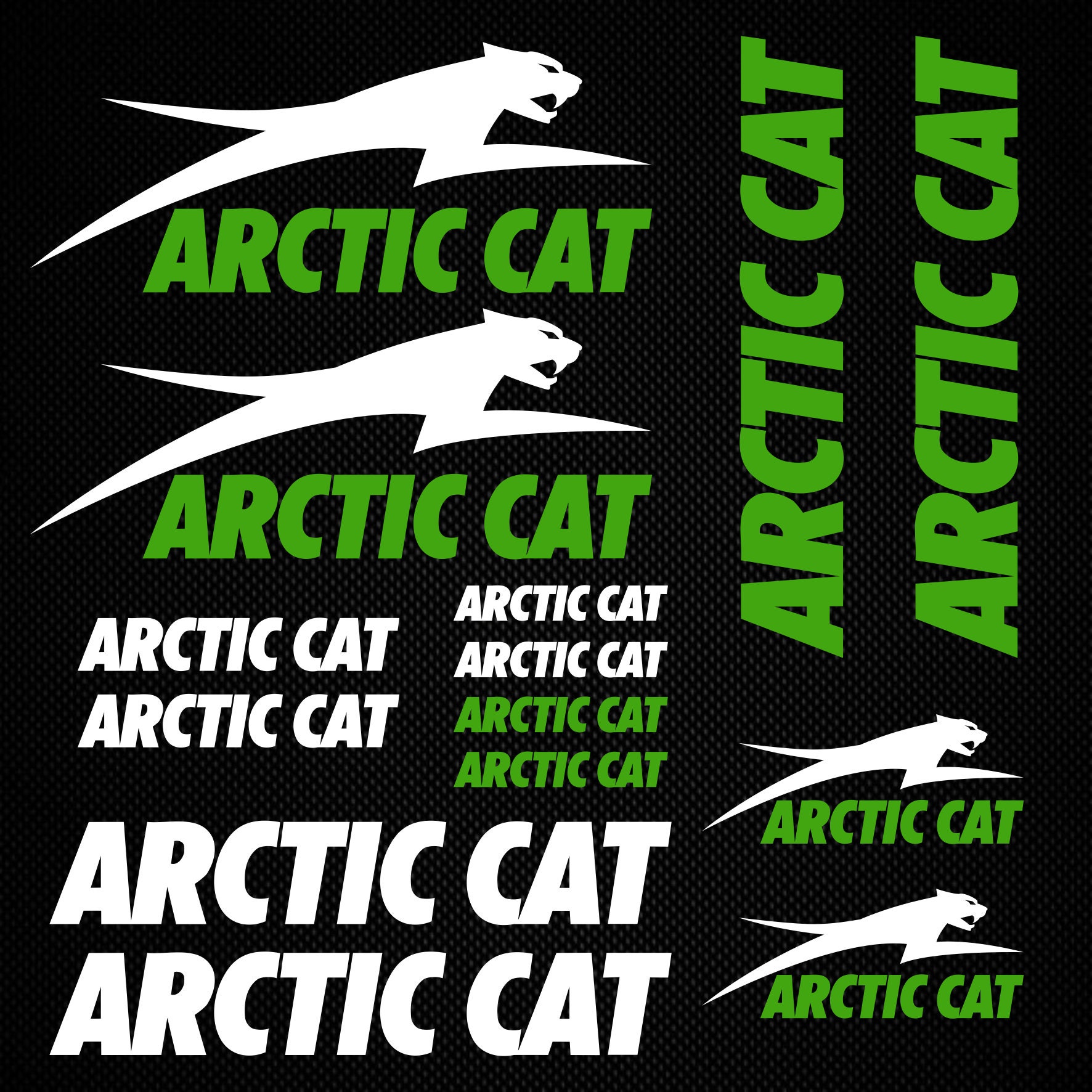 Team Arctic Cat Logo
