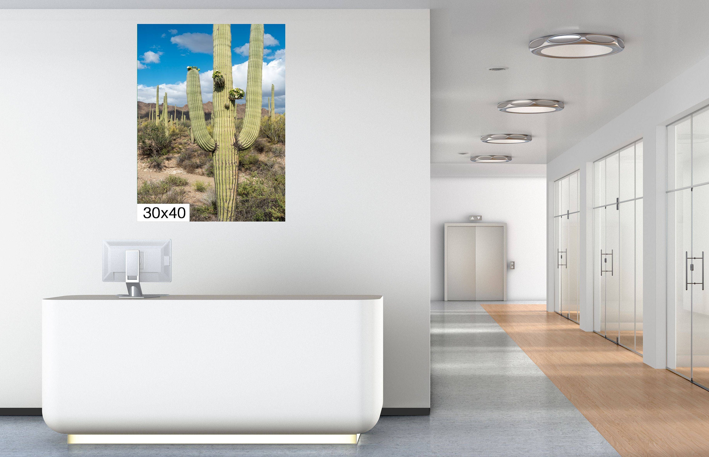 Saguaro's Saguaro National Park West 4, Arizona Desert Wall Art ...
