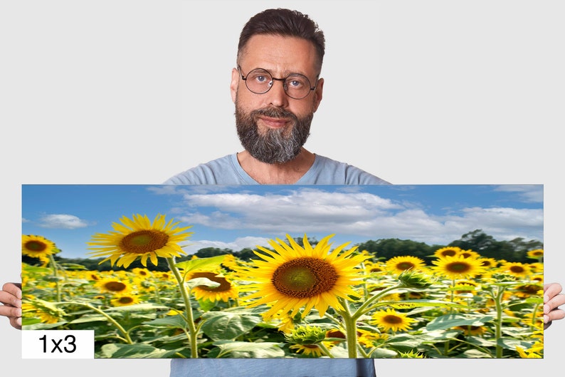 Sunflower Wall Art Sunflower Wall Decor Sunflower Canvas Sunflower ...