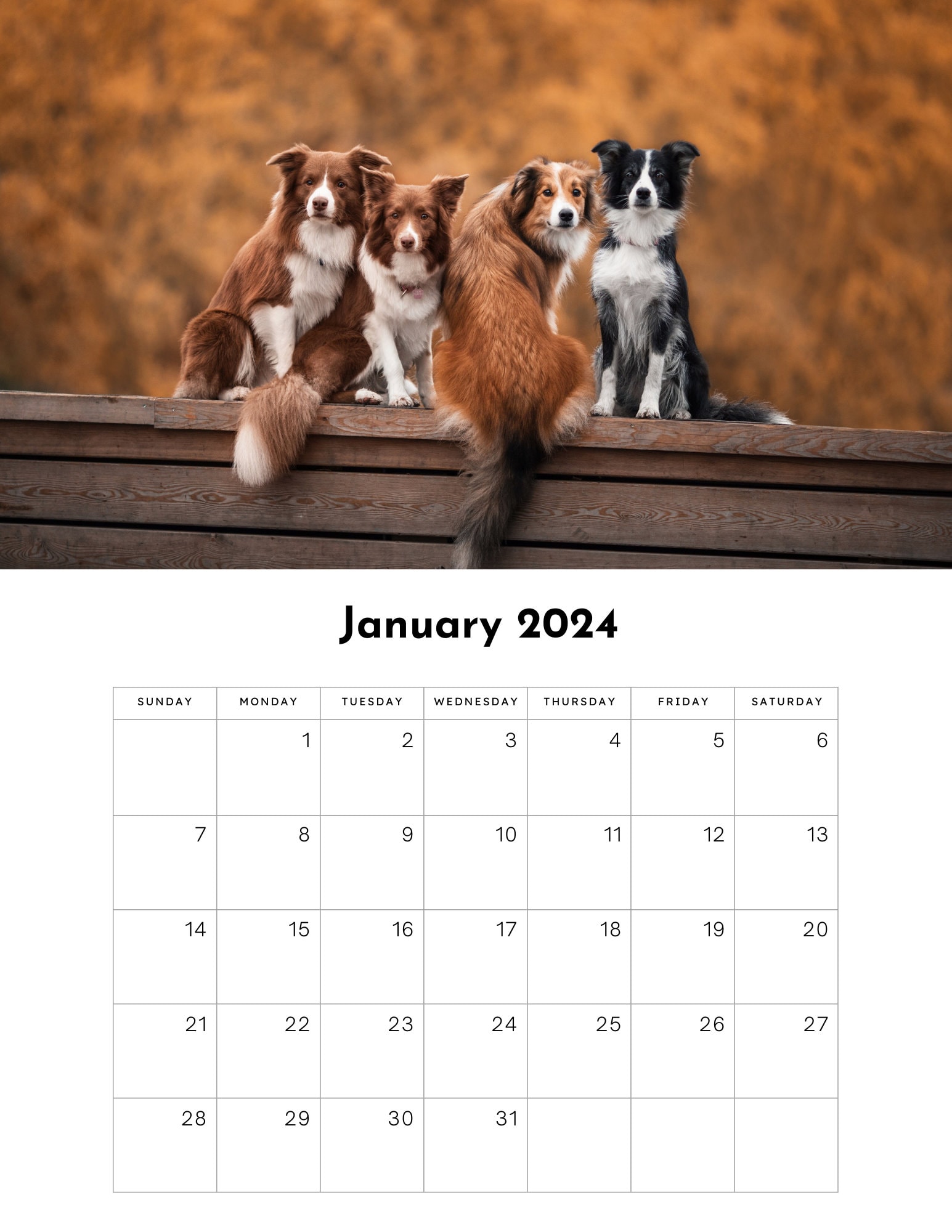 2024 Fully Editable Calendar Canva Template Frame Instant Download - Etsy
